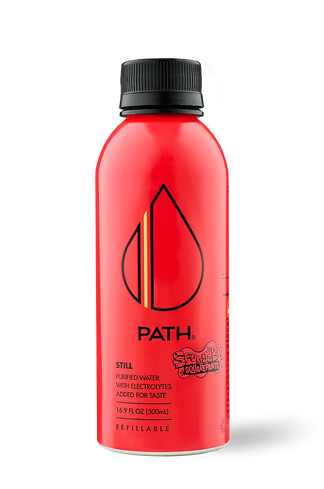 SpongeBob 16.9 oz Limited Edition Aluminum Water Bottles | PATH Water